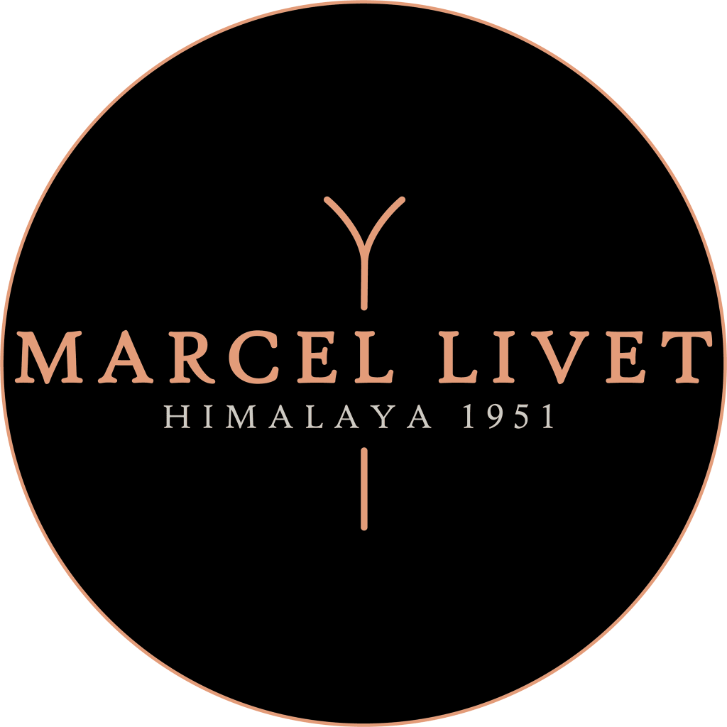Marcel Livet : Skis En Bois Fabriqués En France