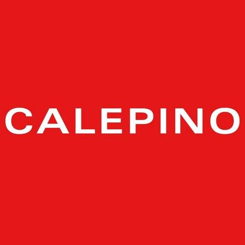 Calepino : Calepins Et Carnets De Notes Français